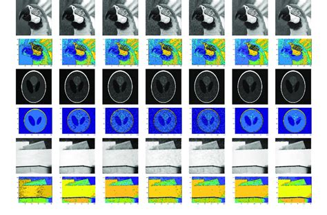 Denoising Images By Using Different Models Images From Left To Right Download Scientific