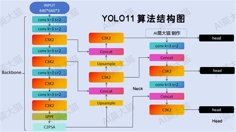（1）yolo11猫狗实时检测实战项目，从零开始写yolov11代码 Csdn博客