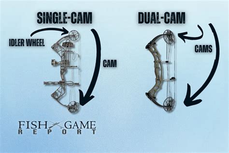 Understanding The Difference Between Single Cam And Dual Cam Bows For
