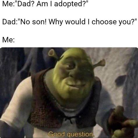 Me Dad Am I Adopted Dad No Son Why Would I Choose You Me