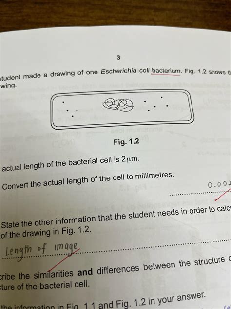 0610 Biology Question Rigcse