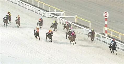 3／5船橋競馬と闘うnote7rパドック後予想3連複｜馬人all The People