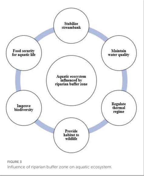 Figure 1 From Application Of Riparian Buffer Zone In Agricultural Non Point Source Pollution