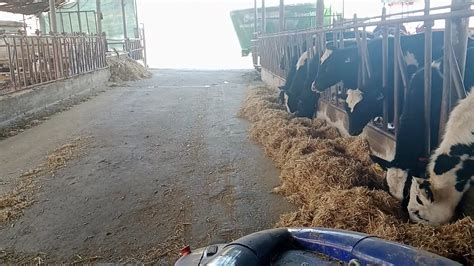 Deneme001 Instance Segmentation Model By Lidar