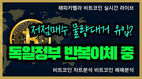 비트코인 실시간반복되는 독일정부 이체 비트 저점매수 물량 대거 유입 79 저녁💎비트코인 비트코인실시간 이더리움 리플 Cryptocurrency 차트분석