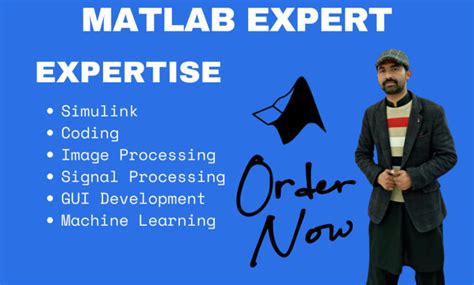 Do Matlab Programming Simulink Image And Signal Processing By