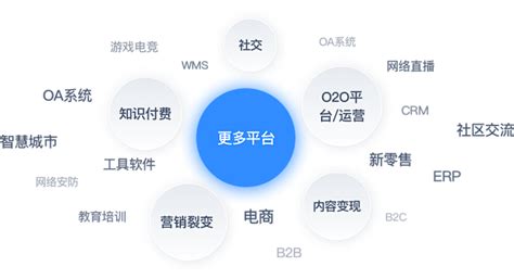 软件定制开发软件定制软件外包服务app定制小程序定制 Itit布雷泽科技