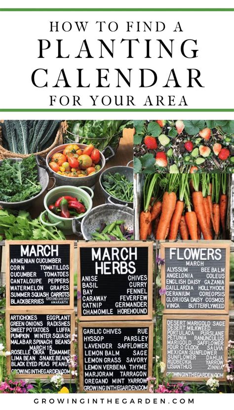When To Plant Your Garden How To Find A Planting Calendar For Your