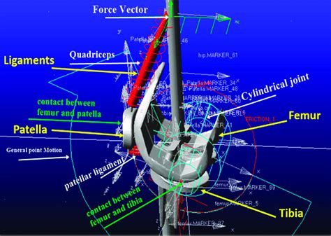 Our Multibody Model In The Msc Adams Our Multibody Model In The Msc Adams Download