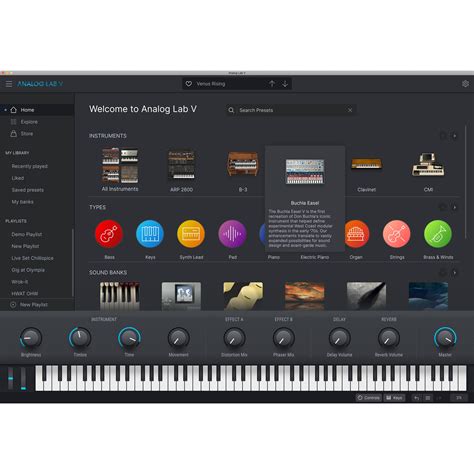 Analog Lab V Collection Vsemighty