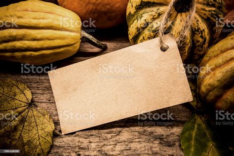 가 수확의 계절이을에 나무에 야채와 과일 추수 감사절 배경 텍스트에 대 한 공간을 복사 합니다 추수감사절에 대한 스톡 사진 및 기타 이미지 Istock