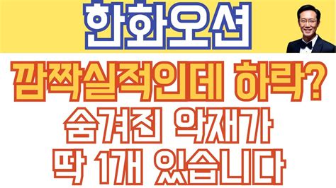 한화오션 주가전망 깜짝 실적인데 하락 숨겨진 악재가 딱 1개 있습니다 Youtube