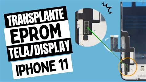 Transplante Eprom Iphone 11 Youtube