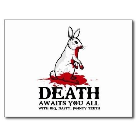 78 Images About Monty Python Ministry Of Silly Pins On Pinterest Monty Python Python And Parrots