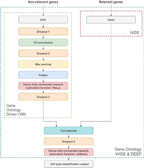 gowdl model architecture it takes as input two rna seq expression data download scientific