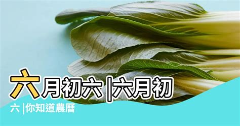 六月初六 六月初六 你知道農曆 六月初六啥日子 八字風水知識站