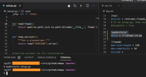 Workspace Does Not Respect Pydocstyles Match Setting · Issue 11728