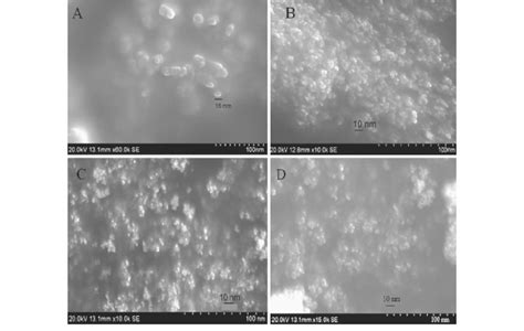 sem micrographs of a undoped tio 2 b 0 25 wt ag tio 2 c 0 5 wt