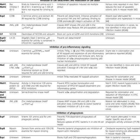 Effectors Of Epec Ehec That Modulate Cell Detachment Pro Inflammatory Download Table