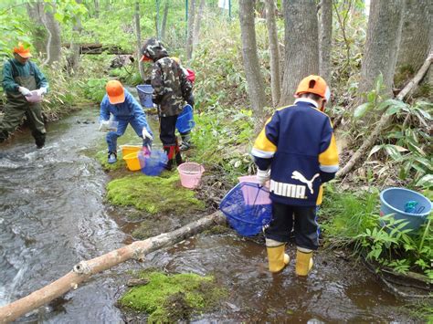 にしおか魚組水生昆虫調査 西岡公園