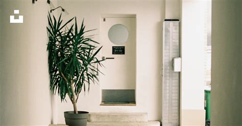 흰색 콘크리트 벽에 녹색 화분에 심은 식물 사진 Unsplash의 무료 필름으로 촬영 이미지