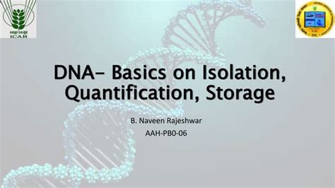 Dna Basics On Isolation Quantification Storage Pptx