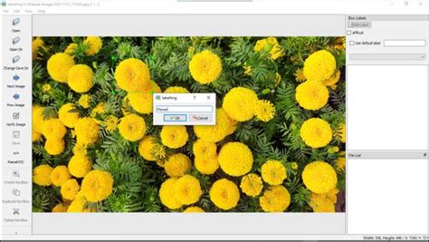 Image Annotation Using Lableimg Download Scientific Diagram