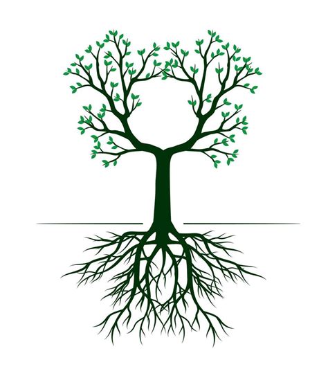 Shape Of Green Tree With Leaves And Roots Vector Outline Illustration