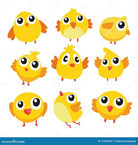 Chick Vector Collection Design Stock Illustration Illustration Of
