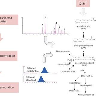 Targeted Metabolomics Targeted Approaches Can Be Used To Validate The Download Scientific