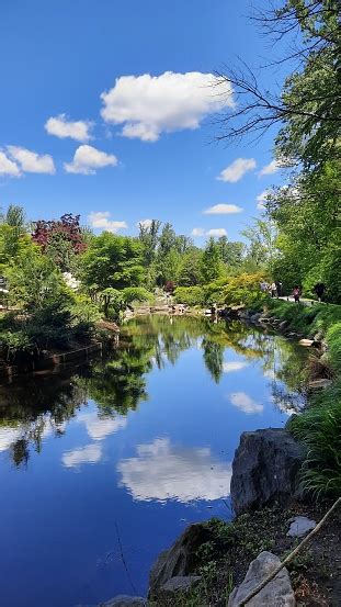 푸른 나무와 식물로 둘러싸인 연못에 푸른 하늘과 초목이 반사되어 있습니다 0명에 대한 스톡 사진 및 기타 이미지 0명 구름