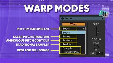 Ableton Warp Modes Explained Beginners Guide Distinct Mastering