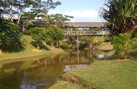 Eulophiella Madagascar Andasibe Hotel Reviews And Photos Tripadvisor