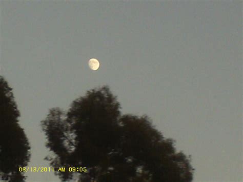 Moon Up High By Utena Douji On Deviantart