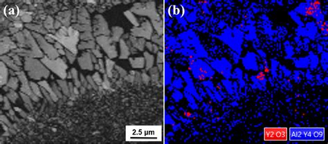 A Sem And B Ebsd Observations Of The Cross Section Of The Coating Download Scientific Diagram