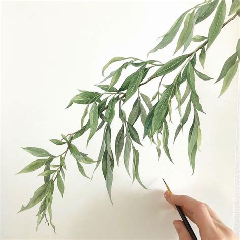 버드나무 잎 🌿🕊 🏻 비슷해보이지만 다 다른 그린색이라는 연휴지나고 옷에도 버드나무 그림 그리느라 이제야 올리네요 🍃 🏻 5월은 왜이렇게 바쁜가요~~🤣 5월은푸르구나💚