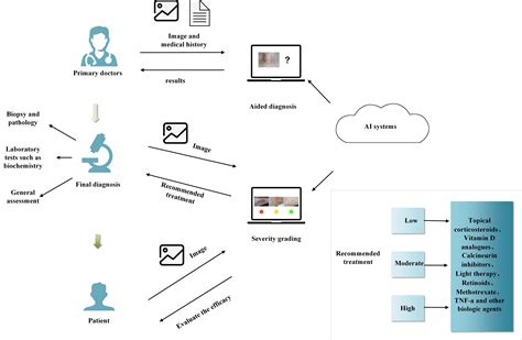 Research On Dermatological Diagnosis System Based On Convolutional Neural Network
