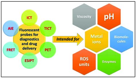 Scheme 1 Schematic Representation Of The Structure Of The Review Download Scientific Diagram