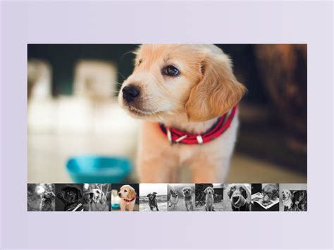 Javascript Image Carousel With Thumbnails — Codehim