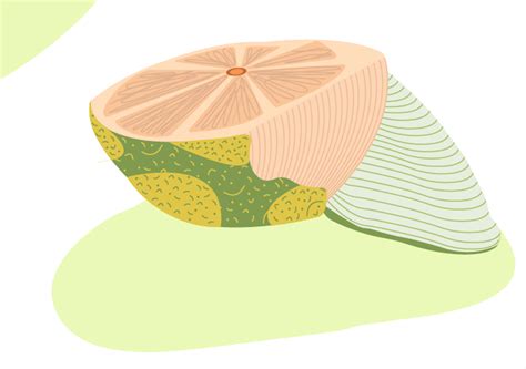 Sequence And Abstraction Fruit On Behance