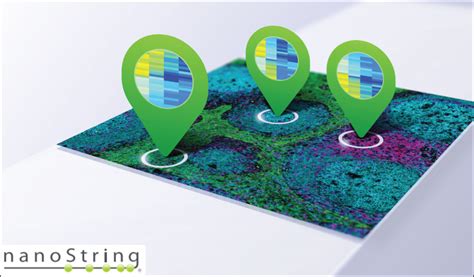 GeoMx Research UWMadison