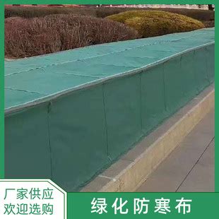 绿化防尘园林植物保护罩苗木保温无纺布绿篱风障树木防风保暖材料 阿里巴巴