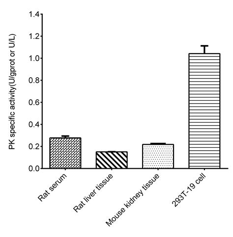 Pyruvate Kinase Products