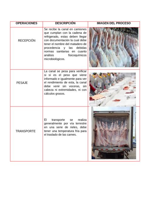 Cuadro Informativo Pdf