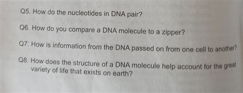 Q5 How Do The Nucleotides In Dna Pairq6 How Do You Compare A Dna Mole