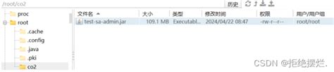 Springbootvue项目部署在centos系统教程（2024年最新版，手把手教学）centos部署vue项目 Csdn博客