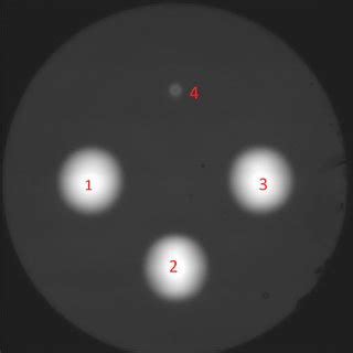 The End Of The Multicore Fiber Illuminated At Both Ends And Imaged Download Scientific Diagram