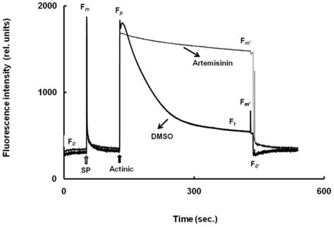 The Leaves Were Washed And Dark Adapted For 20 Min Before Subjected