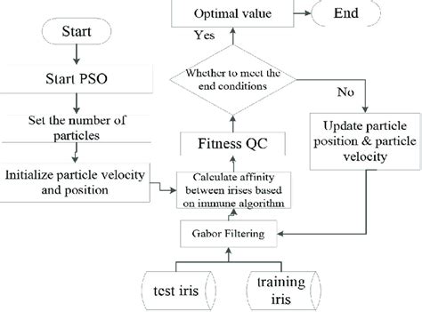 Gabor Filter Parameter Optimization Process Download Scientific Diagram