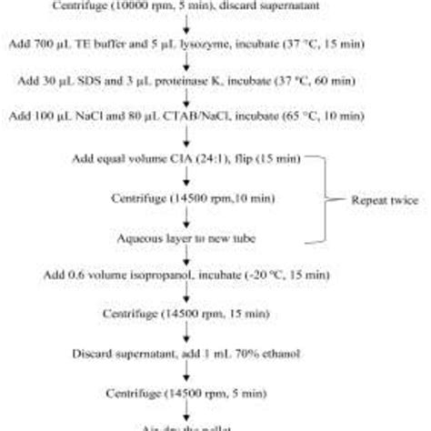 Schematic Diagram For Modified Ctab Protocol Download Scientific Diagram